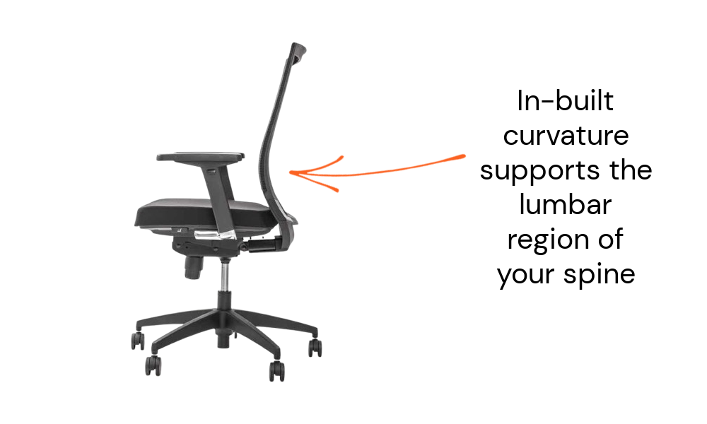 What Is Lumbar Support? | Rosehill